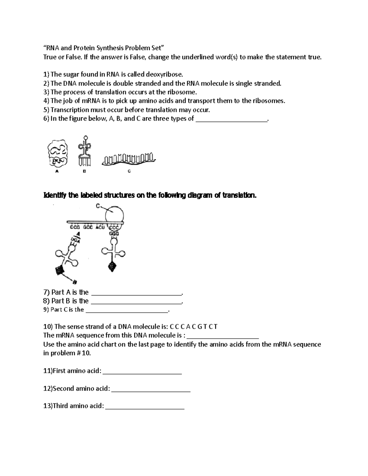 RNA and Protein Synthesis Problems - If the answer is False, change the ...