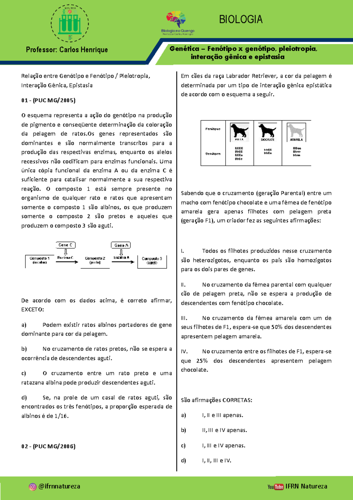 Genetica 2013 Fenotipo x genotipo- pleiotropia- interacao genica e ...