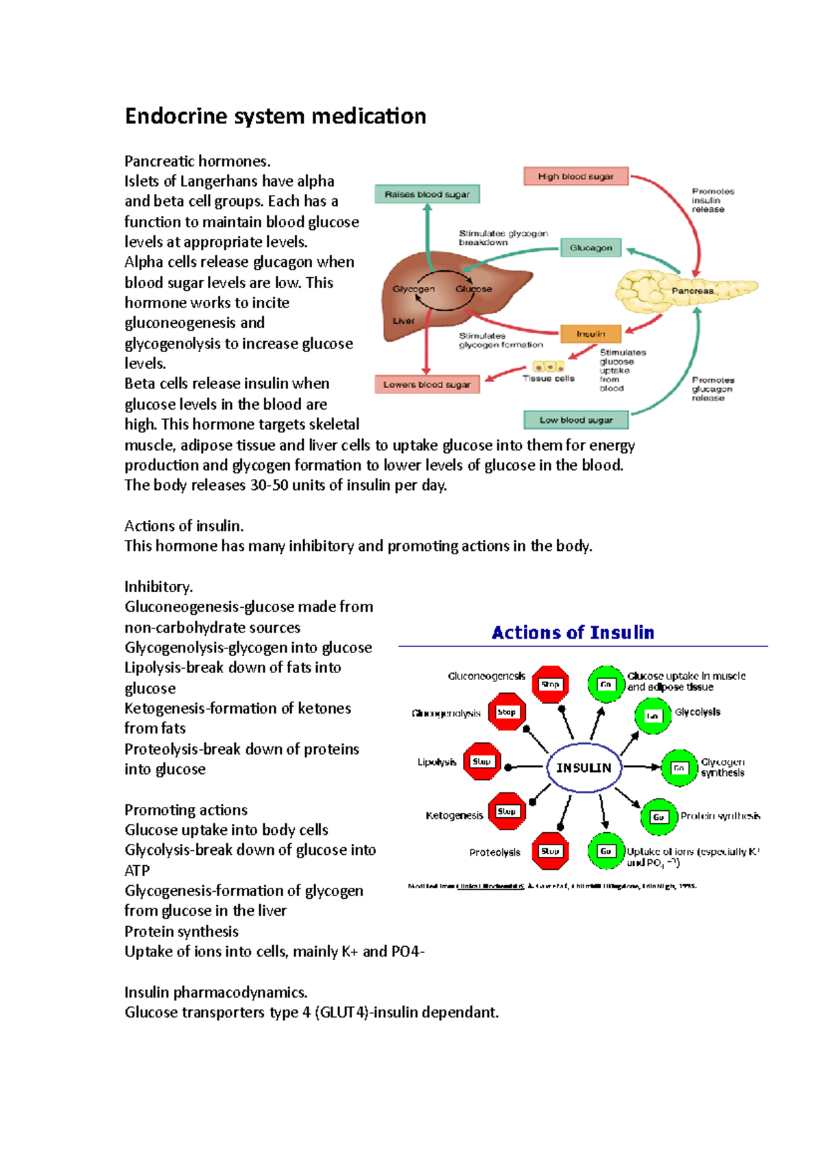 Pharmacology Endocrine system medication - Endocrine system medication ...