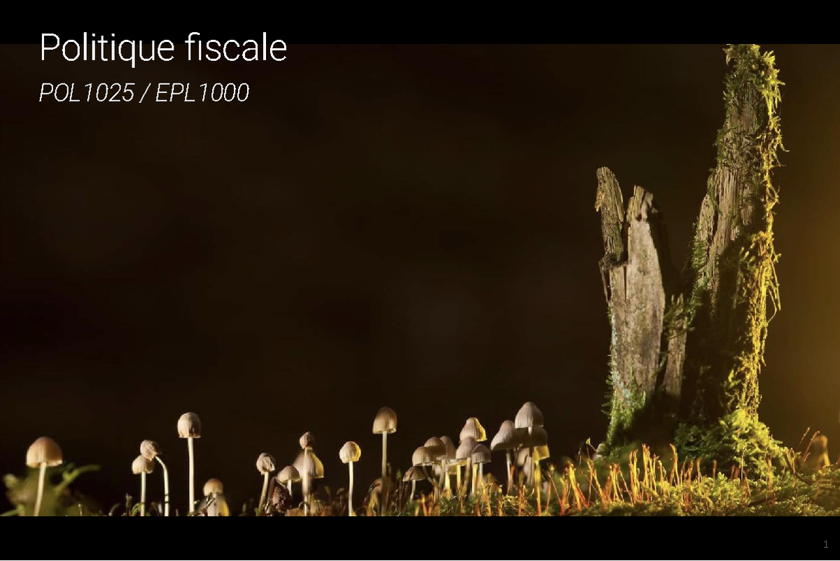 Politique fiscale - Politique scale POL1025 / EPL Premier pas: Dénition ...