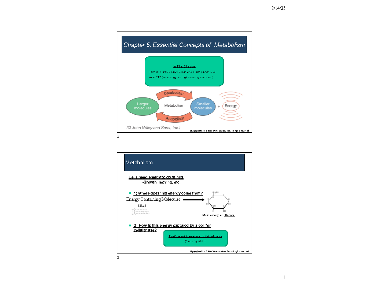 Bio 150 chapter 5 - n/a - Copyright © 2015 John Wiley & Sons, Inc. All rights reserved. Chapter ...