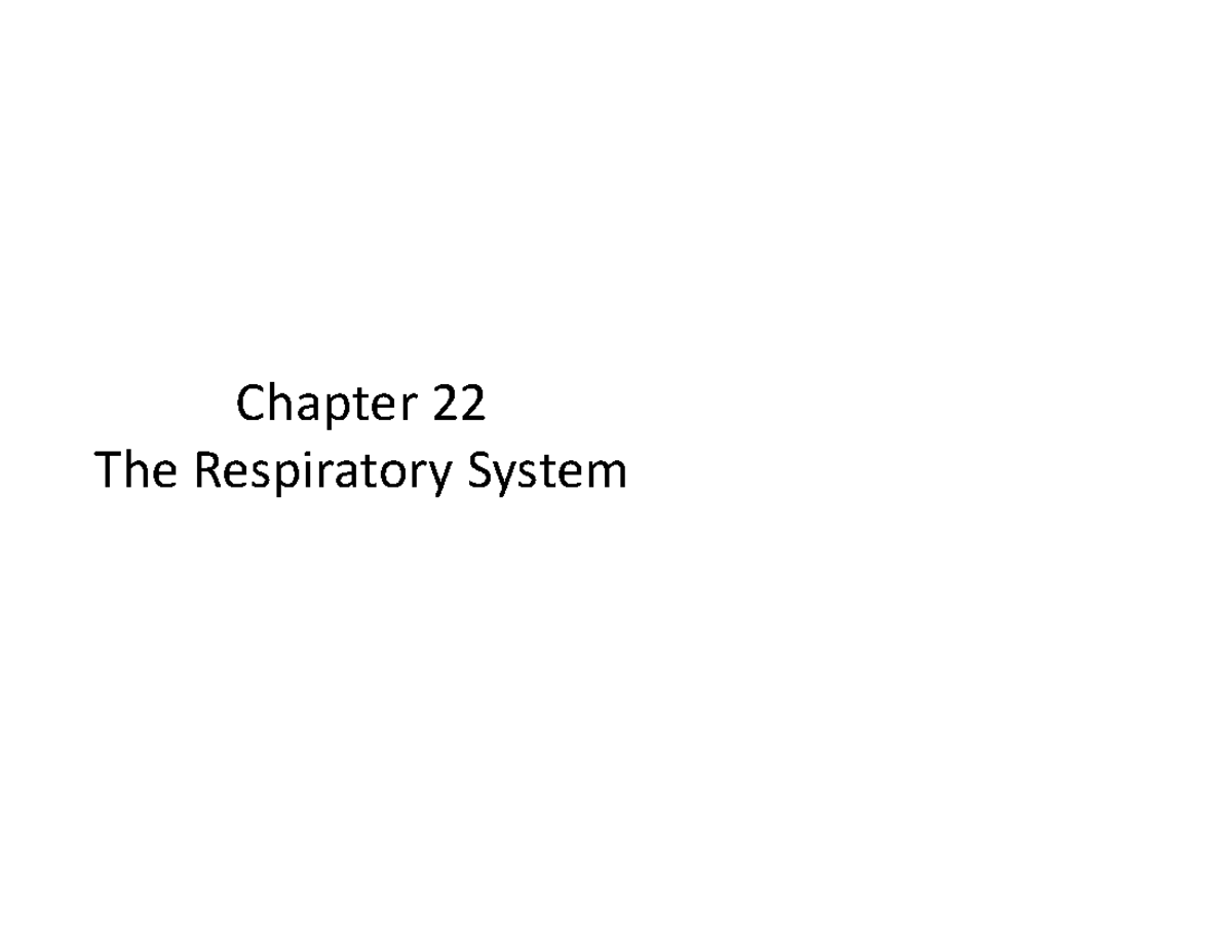 Ch22-Respiratory- Revised - Chapter 22 The Respiratory System Major ...