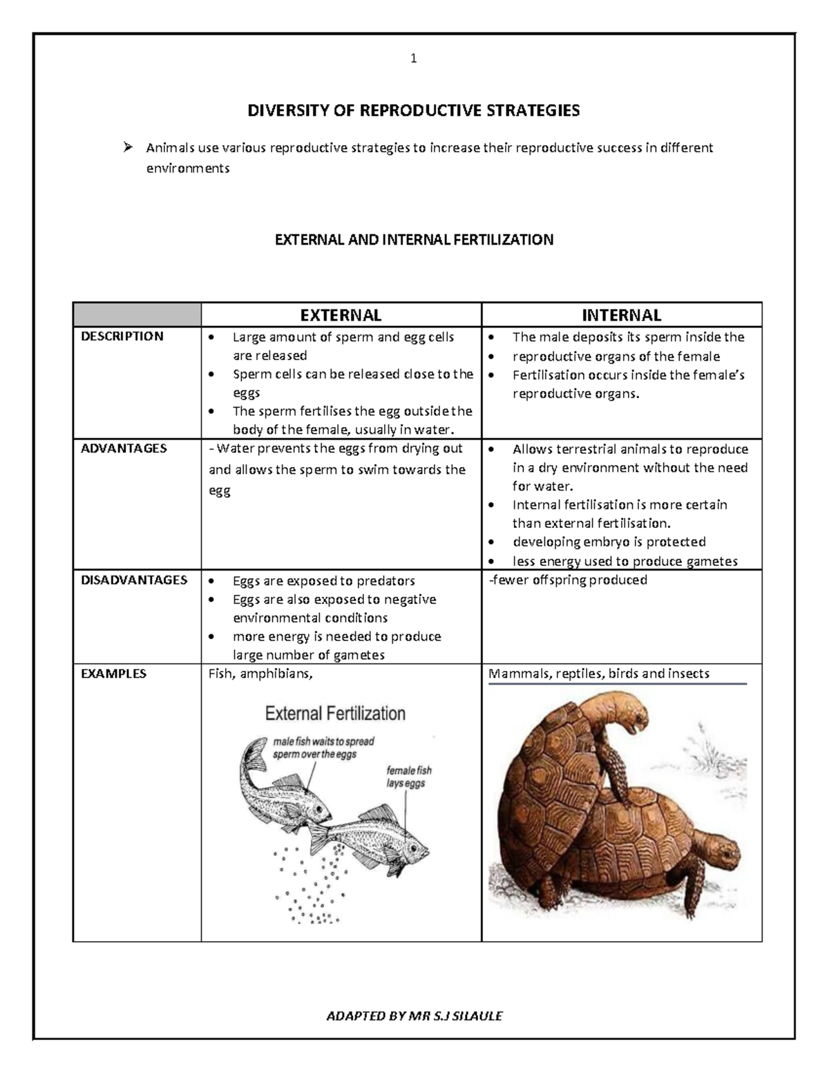 Reproduction Notes 2019 modified-1 - DIVERSITY OF REPRODUCTIVE ...