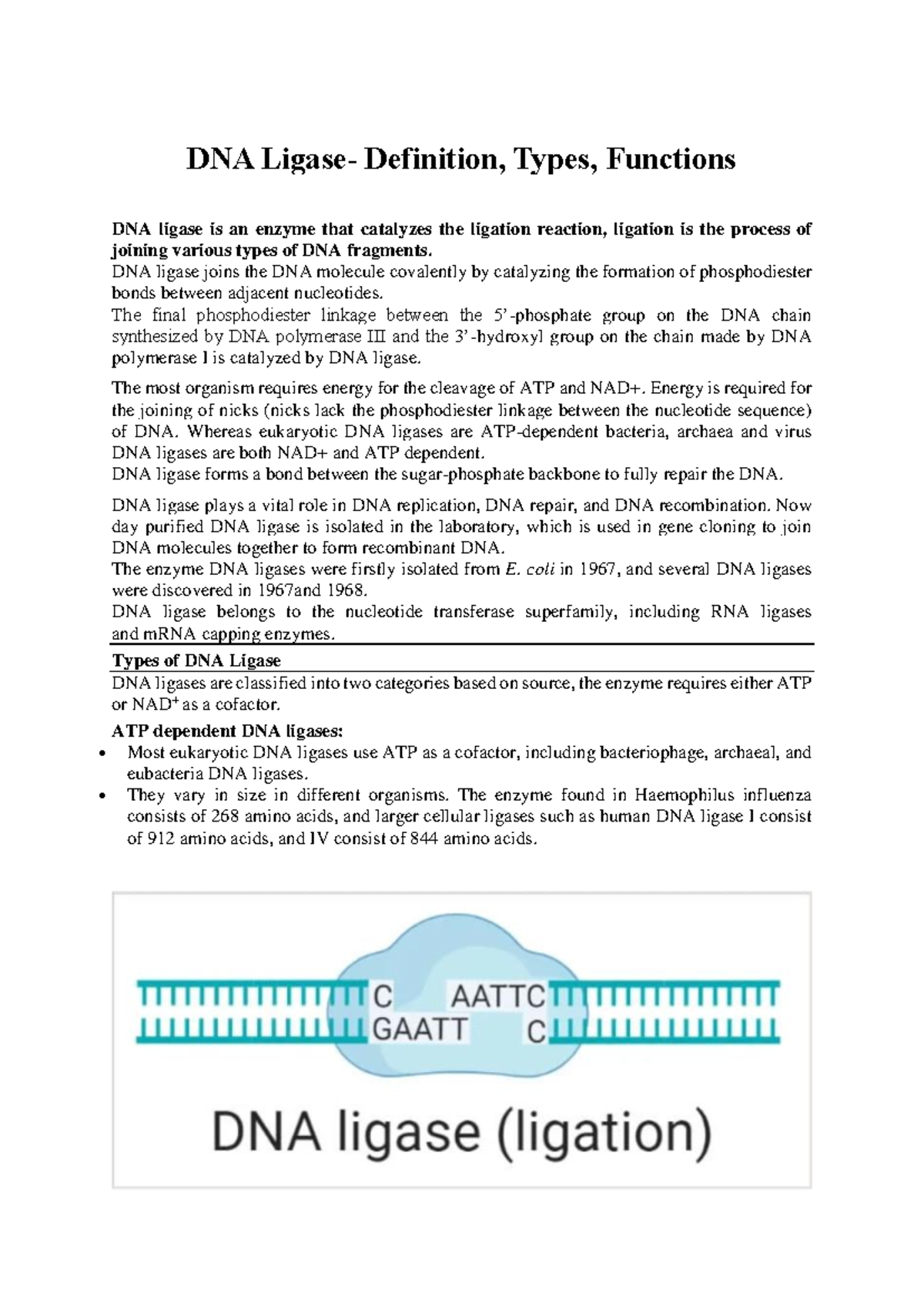 DNA Ligase - BIOTECHNOLOGY 6TH SEM - DNA Ligase- Definition, Types, Functions DNA ligase is an ...