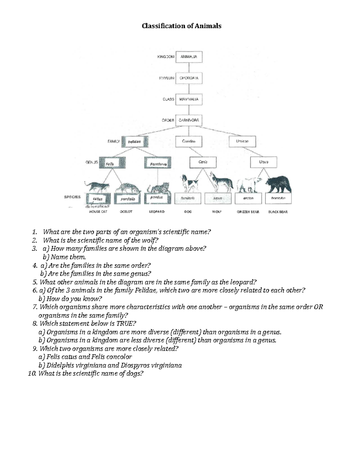 Classification categories - Classification of Animals What are the two ...