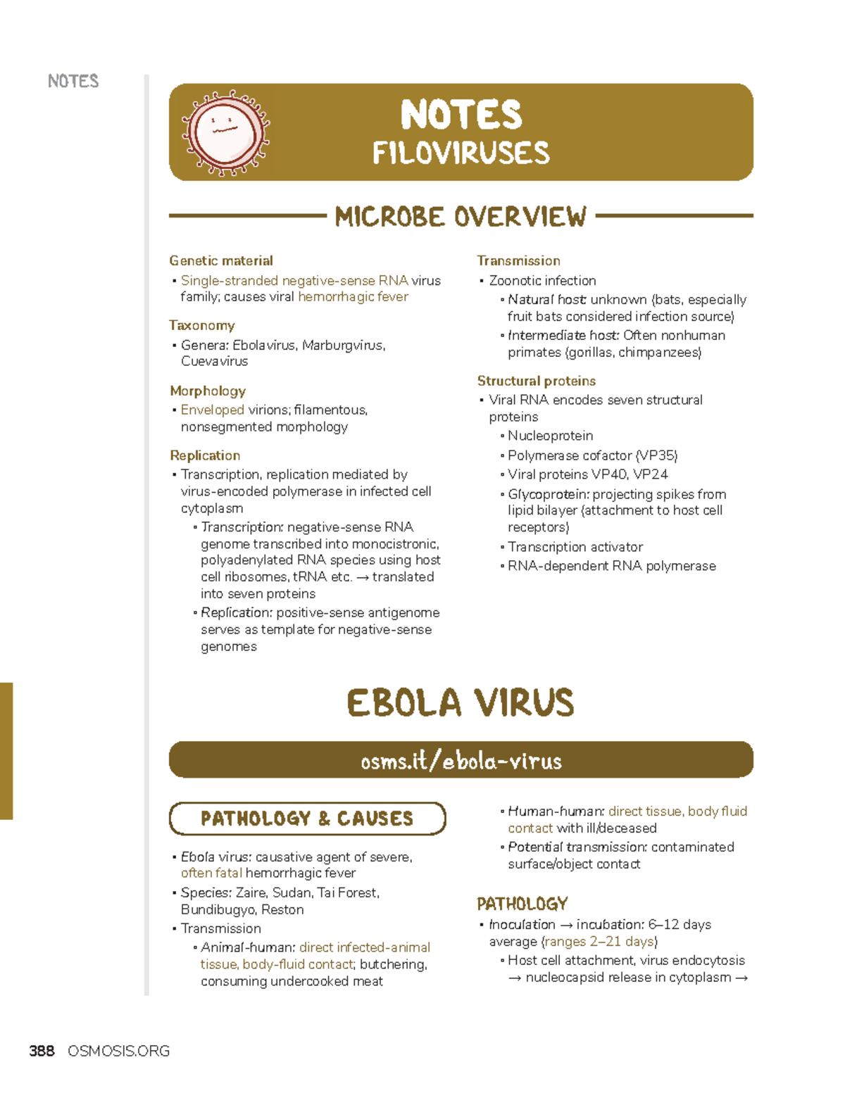 Filoviruses-Ebula - Osmosis's prime notes on microbiology - 388 NOTES ...