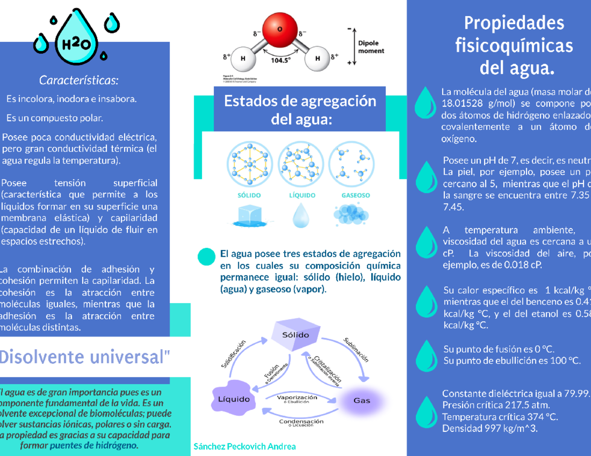 Infografia agua - Infografía sobre el agua. - Bioquímica - Studocu