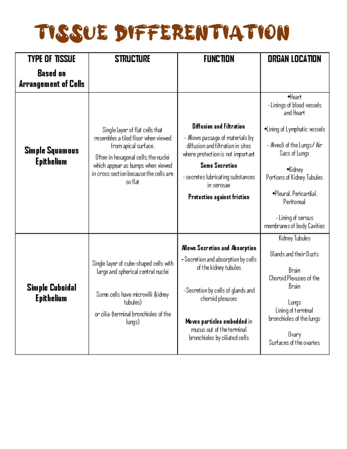 Anatomy and Physiology - Tissue Differentiation - Tissue ...