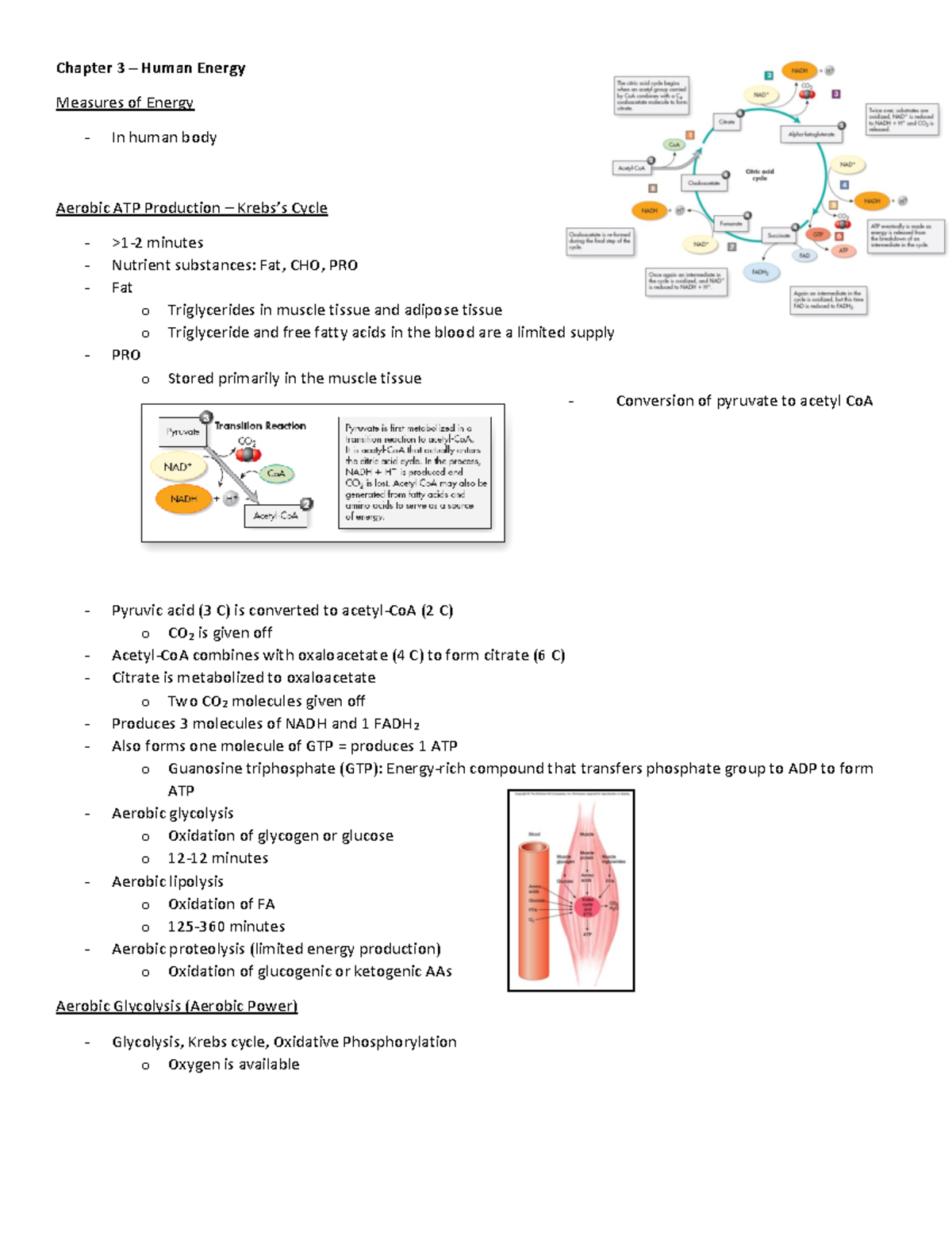Chapter 3 - Human Energy EXSC 507 - Chapter 3 – Human Energy Measures ...