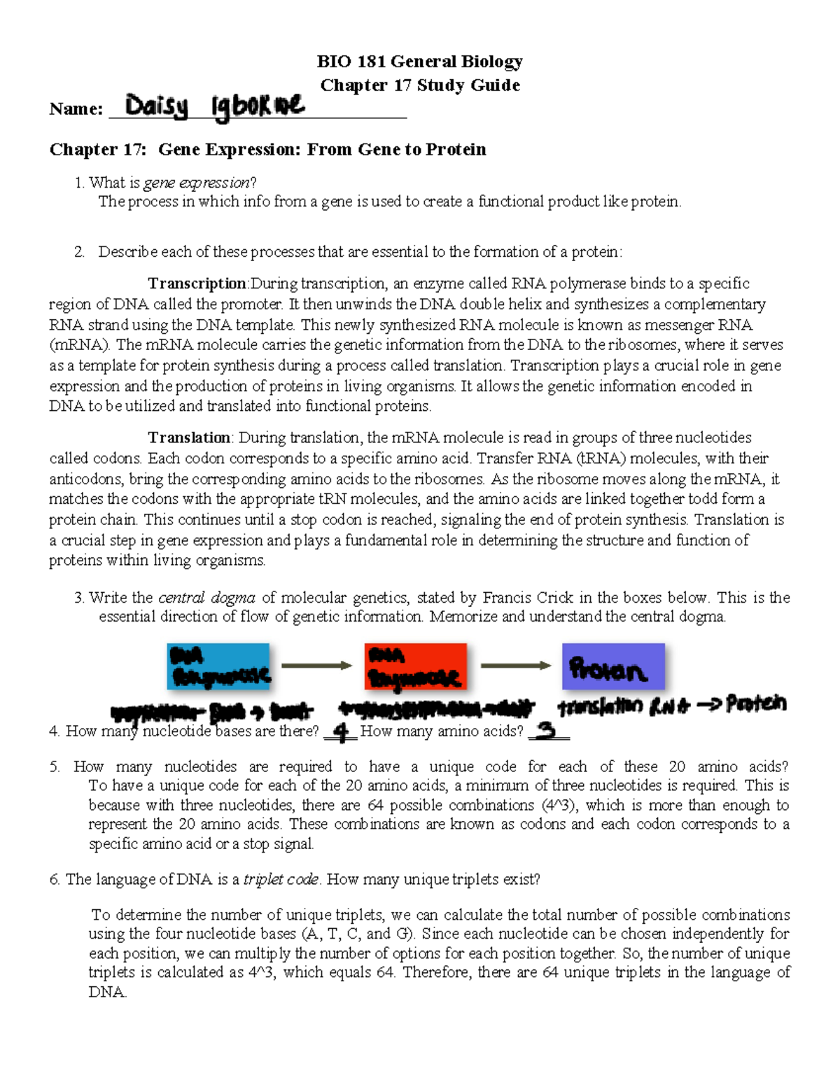 Chapter 17 Study Guide 2 - BIO 181 General Biology Chapter 17 Study ...