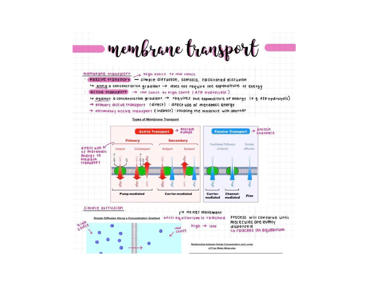 Bionotes - Notes summary review important for review biology - Math100 ...