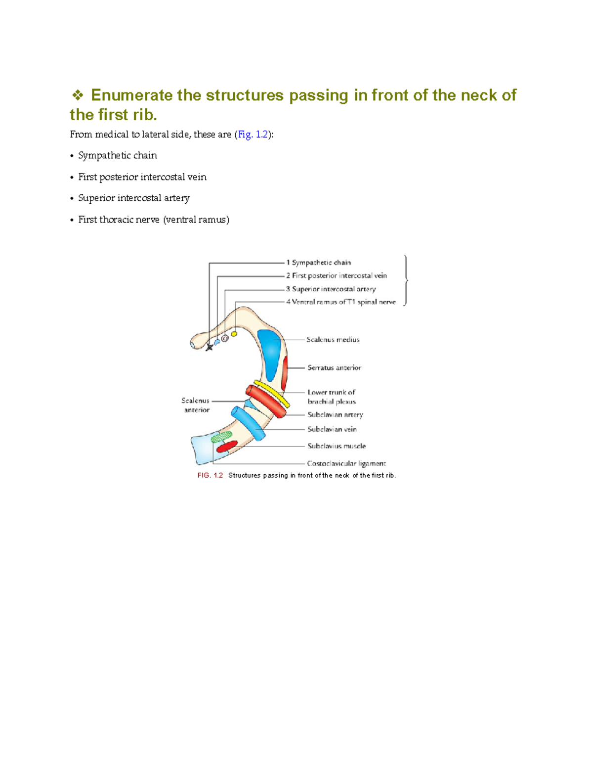 Selective Anatomy Vol 2-4 - Enumerate the structures passing in front ...
