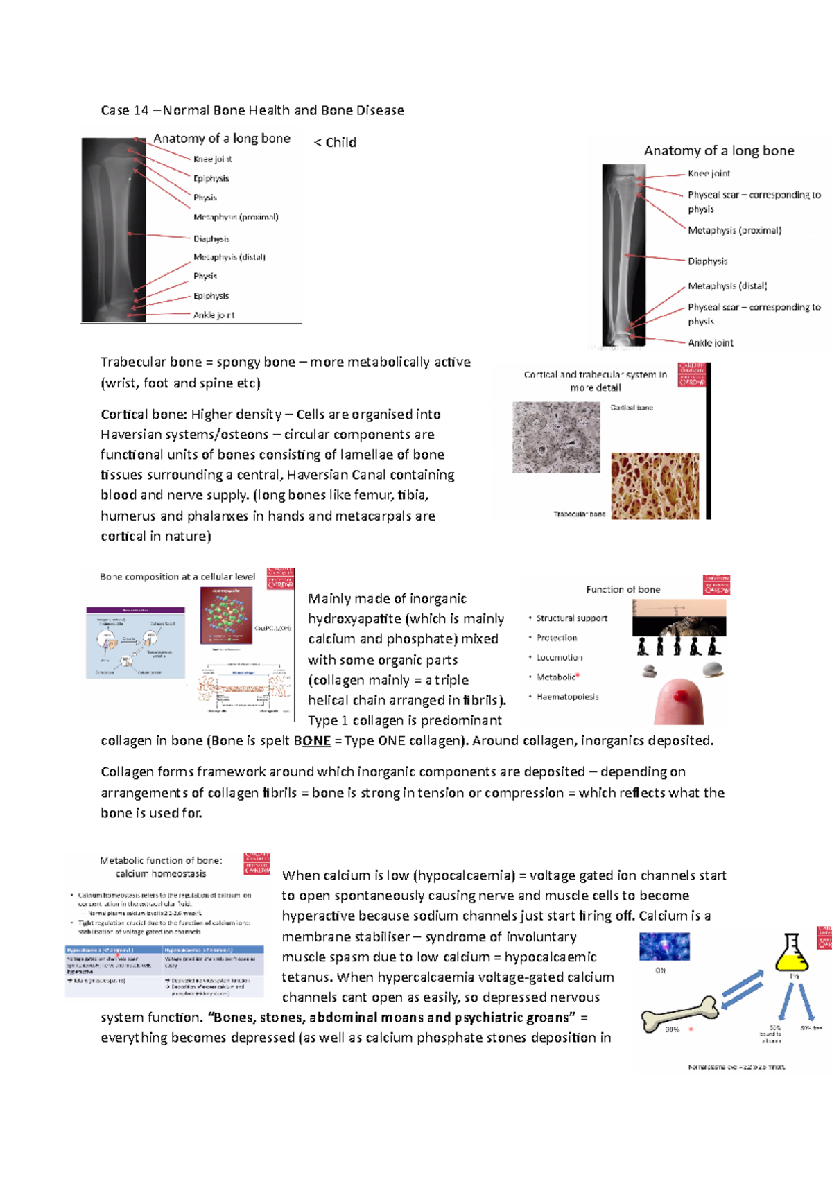 Case 14 - Bone healing and repair - Case 14 – Normal Bone Health and ...