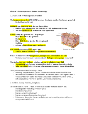 Words 8 - Medical Terms Chapter 4 Part 2 - SPINAL CURVATURES TERM WORD ...