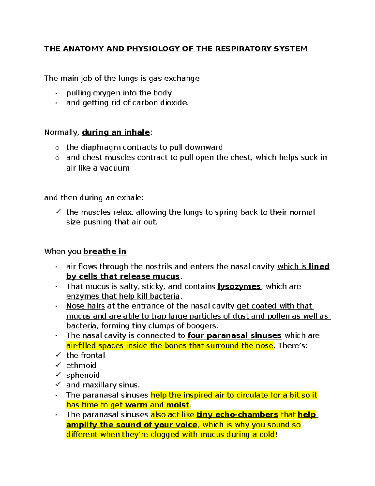 THE- Respiratory- System- Anatomy-AND- Physiology 2 - THE ANATOMY AND ...