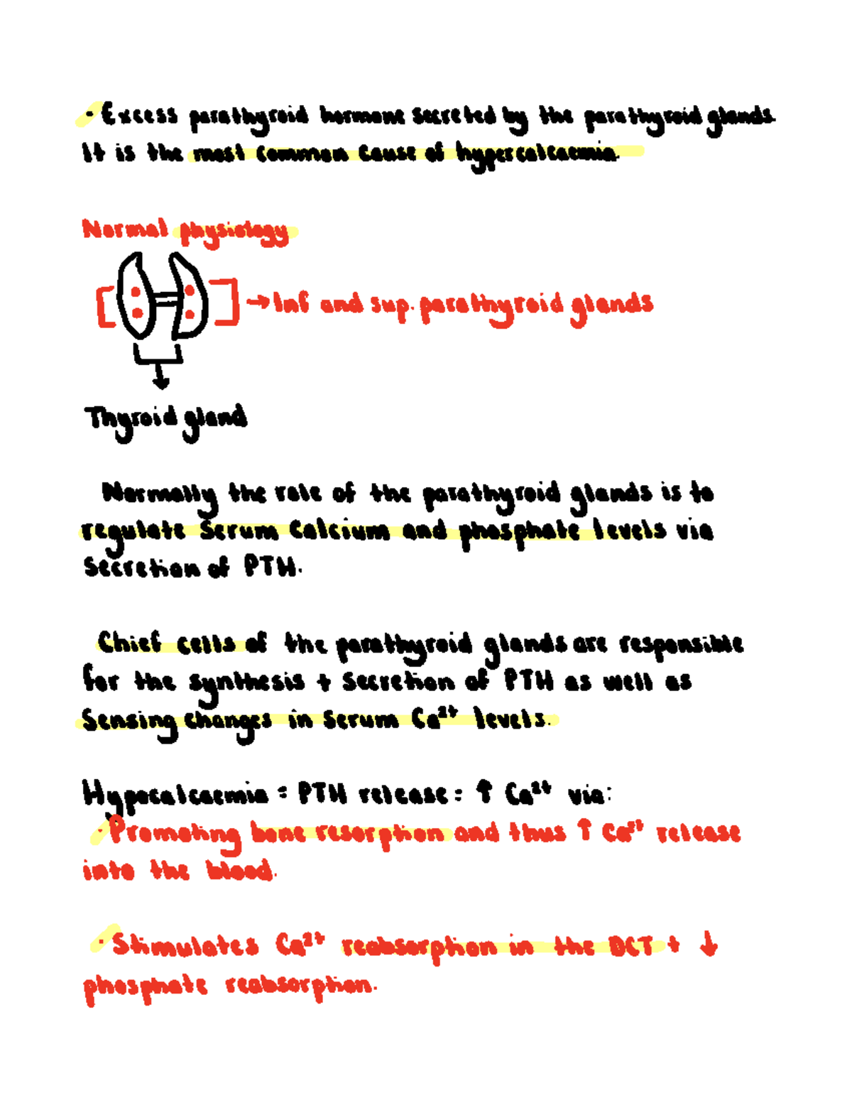 Hyperparathyroidism - Causes symptoms, diagnosis and treatment of hyper ...