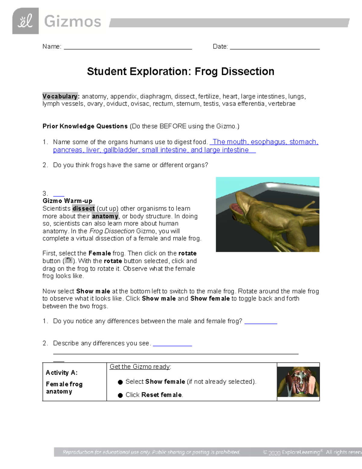 Amia's Copy of Frog Dissection SE - Name: Date: Student Exploration ...