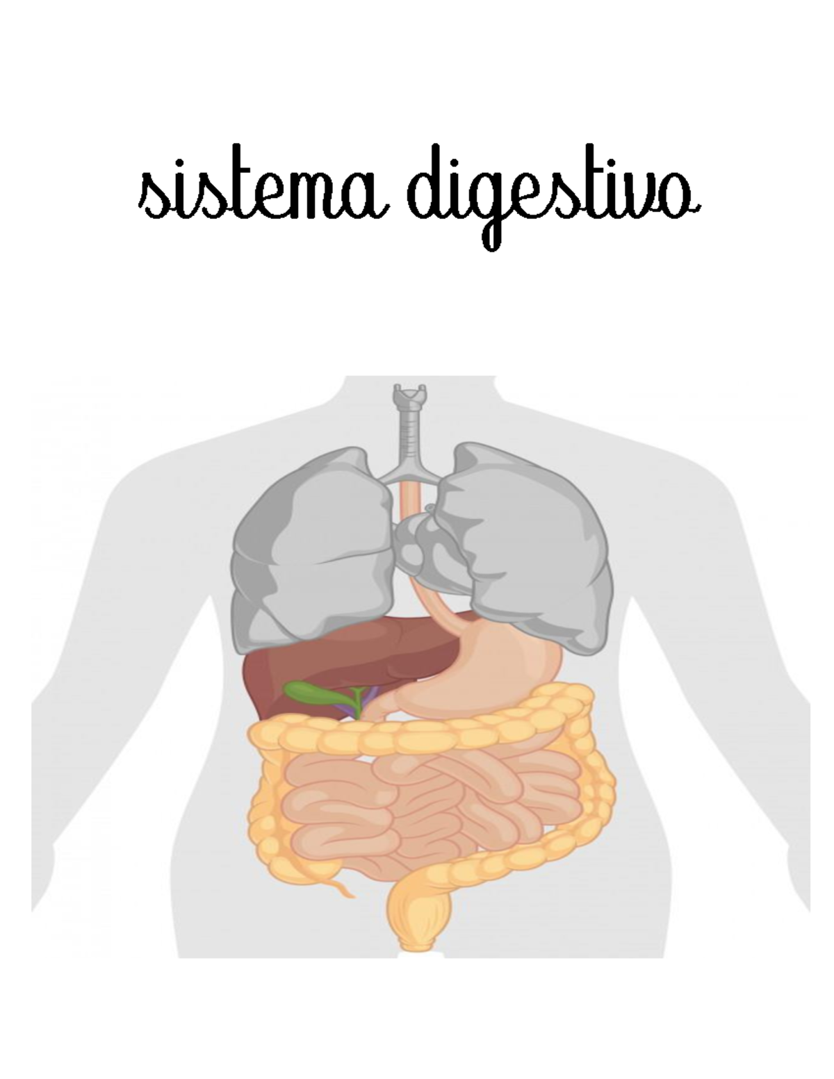 Aparato digestivo quiroz anatomia tomo 3 - sistema digestivo ...