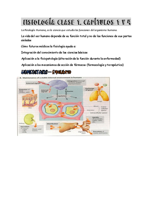 Trastornos de la glándula tiroides - La glándula tiroides produce las ...