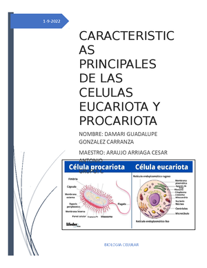 Investigar definiciones de hongo dimórfico y hongo bifásico - Nombre ...
