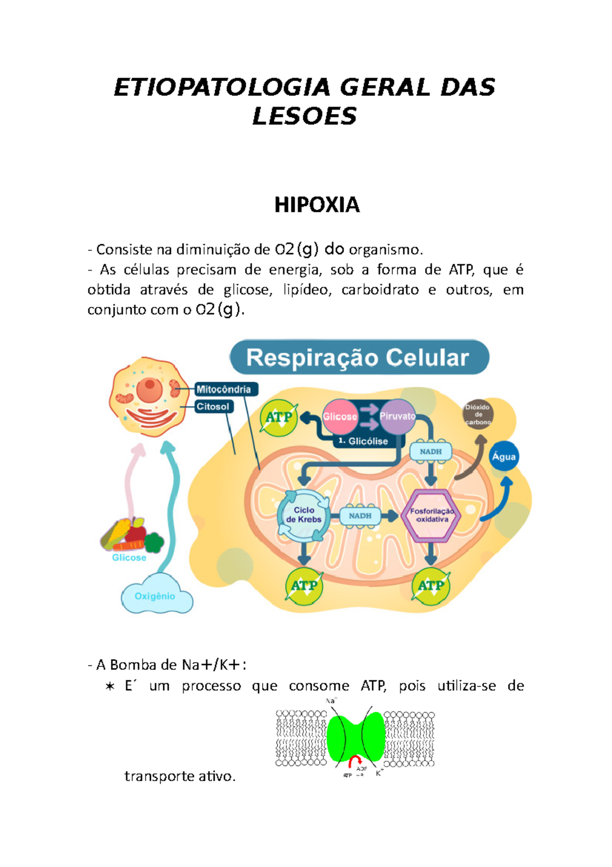 Etiopatologia geral das lesões - ETIOPATOLOGIA GERAL DAS LESOES HIPOXIA ...