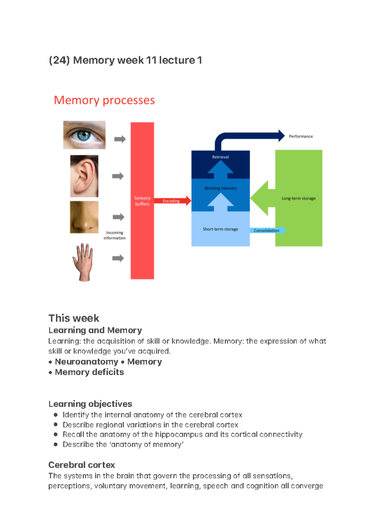 (24) Memory week 11 lecture 1 - (24) Memory week 11 lecture 1 This week ...