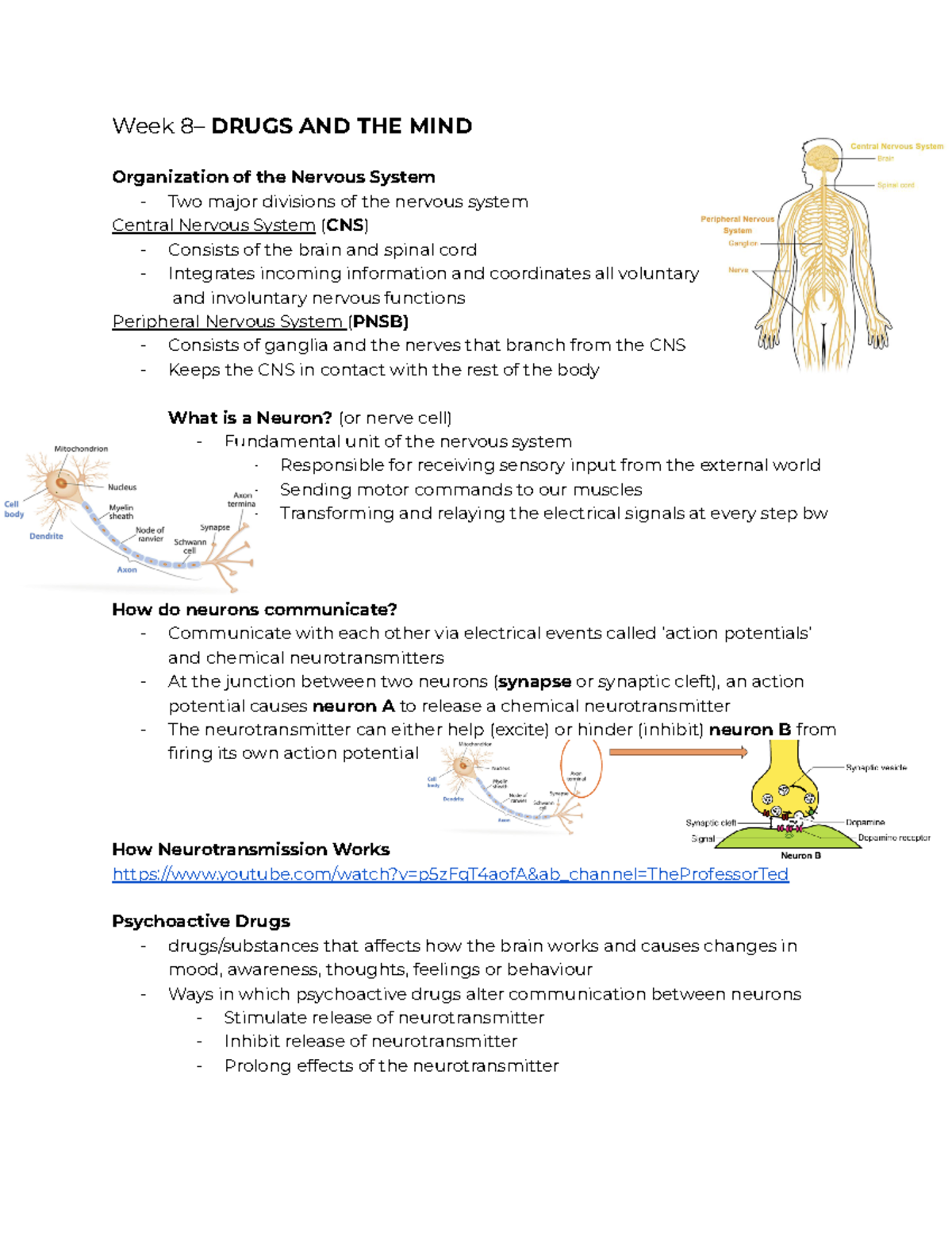 Lec 8-13 hltb22 - Week 8– DRUGS AND THE MIND Organization of the ...