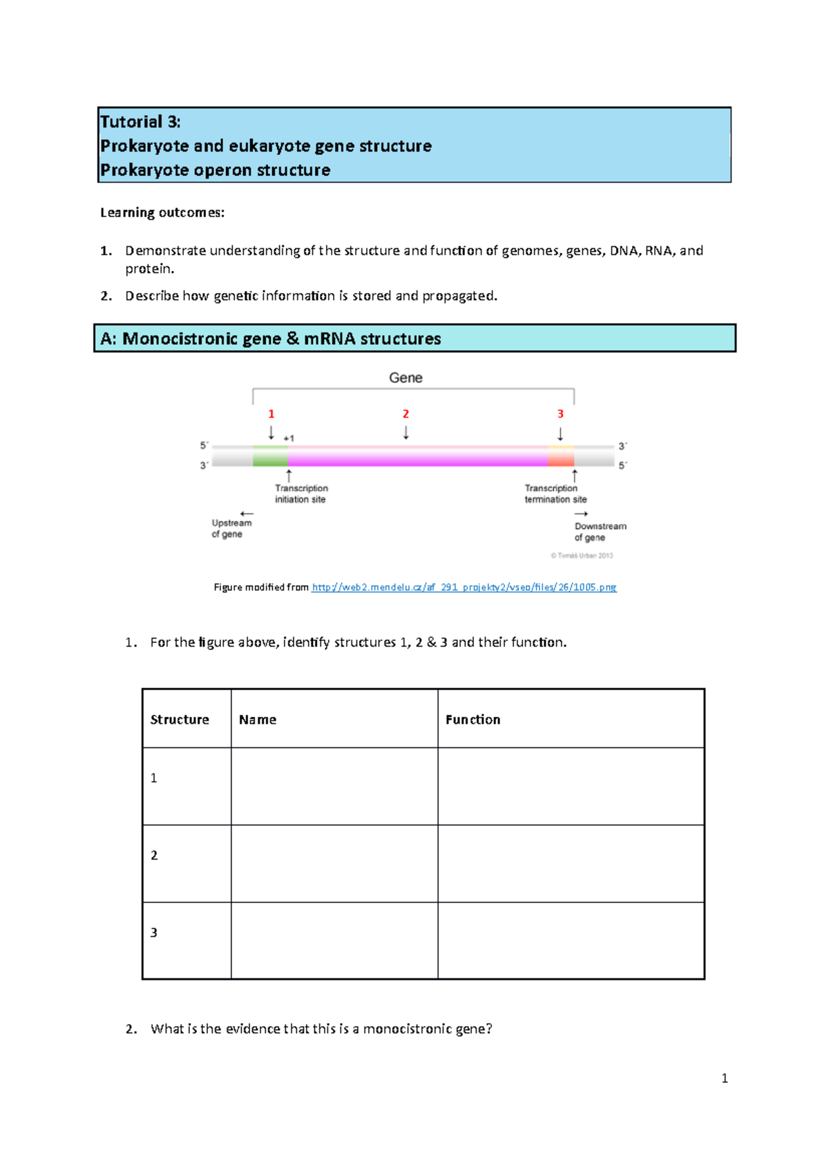 GENE603 Tutorial Topic 04 - Tutorial 3: Prokaryote and eukaryote gene ...