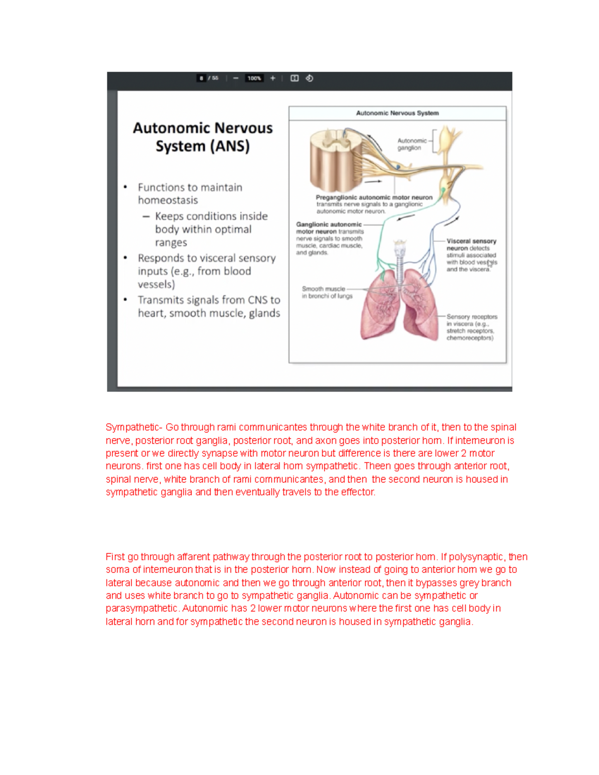 Module 3 doc 2 - lecture notes - Sympathetic- Go through rami ...