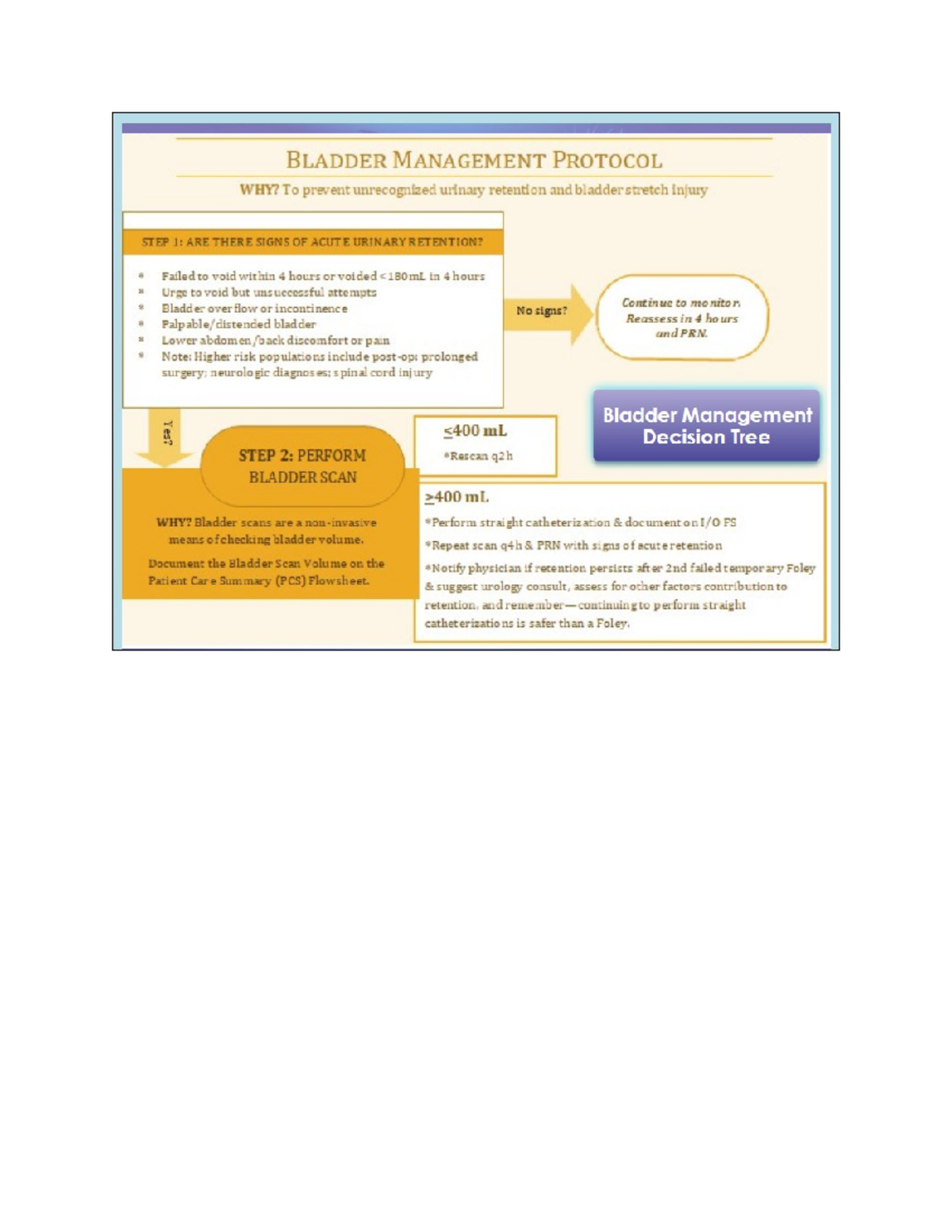 Bladder Management Tree Bladder Management Protocol Why To Prevent Unrecognized Urinary