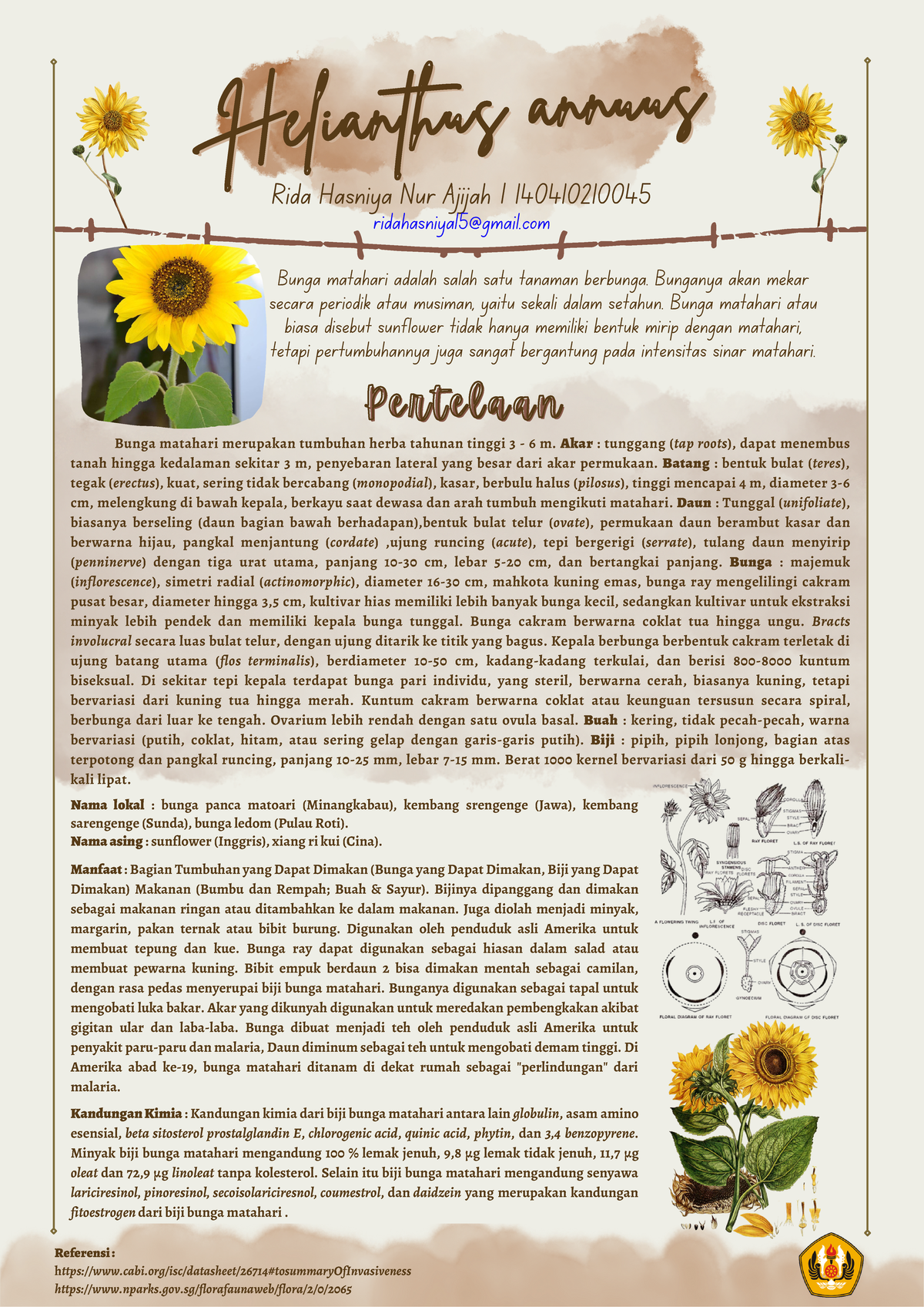 Poster Bunga Matahari - Rida Hasniya Nur Ajijah | 140410210045 ...