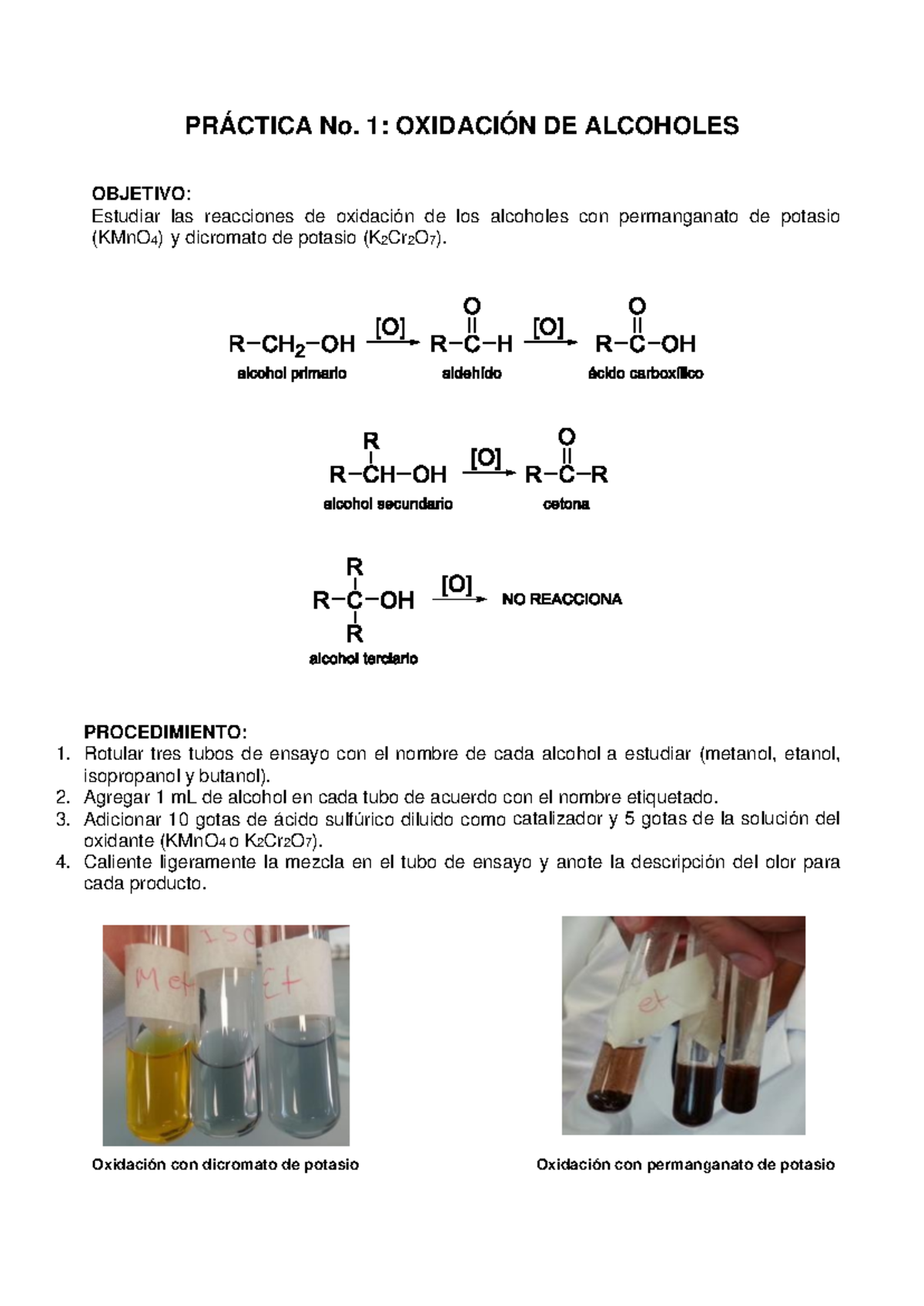 Práctica #1- Oxidación DE Alcoholes (Dic2022) - PRÁCTICA No. 1: OXIDACIÓN DE ALCOHOLES OBJETIVO ...
