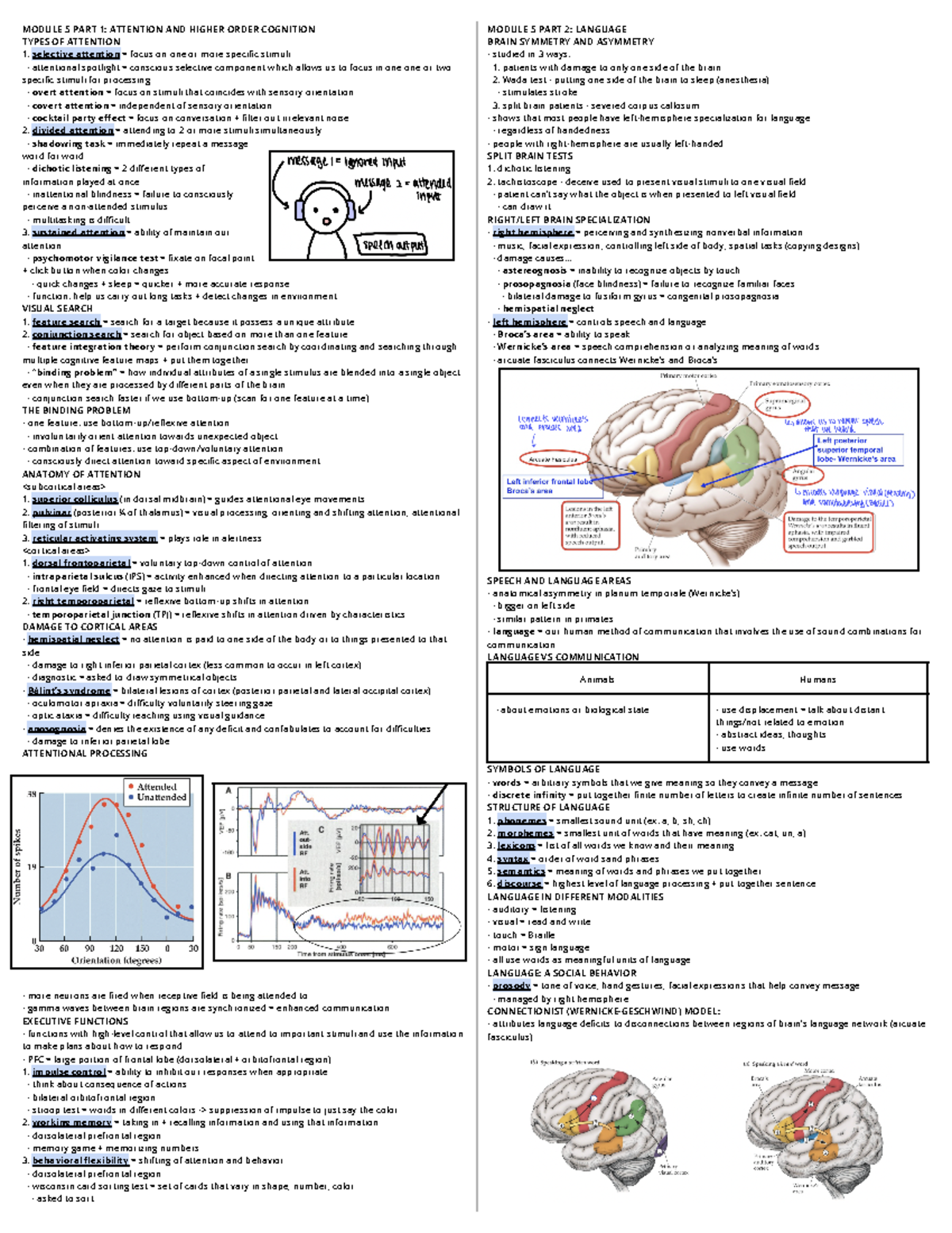 Module 5 Cheat Sheet - MODULE 5 PART 1: ATTENTION AND HIGHER ORDER COGNITION TYPES OF ATTENTION ...