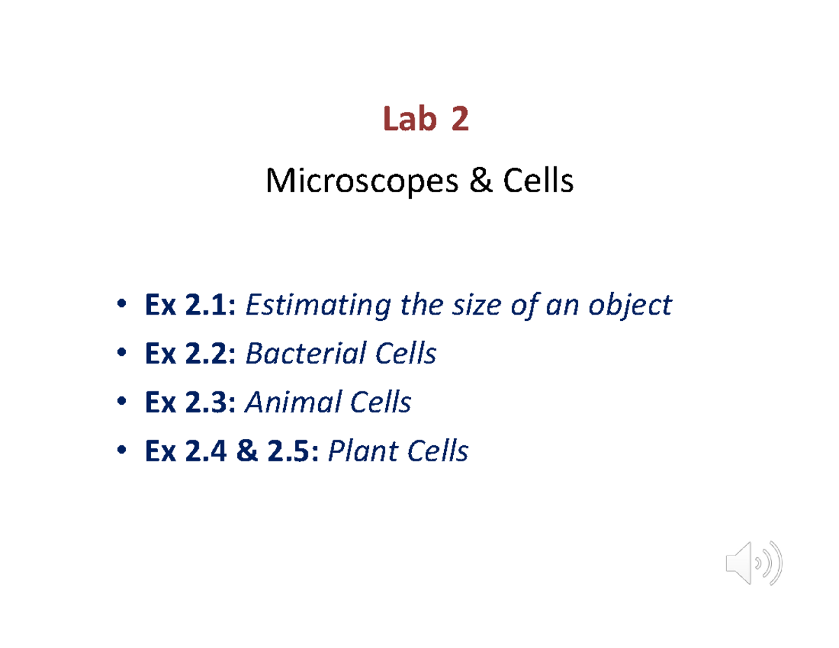 Lab 2 Powerpoint - The name of the teacher is Brenna Ritchie. - Lab 2 ...