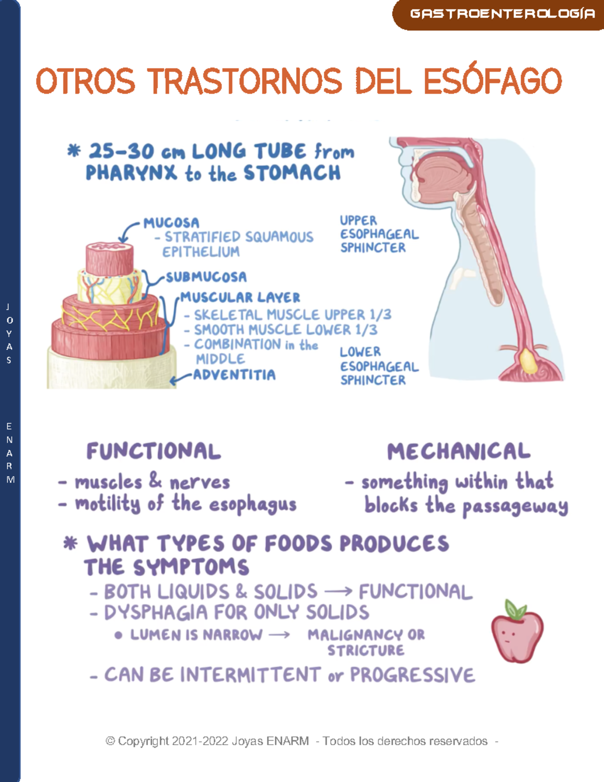 Otros Trastornos Esofágicos (Espasmo Difuso, Esclerodermia, Anillo de ...