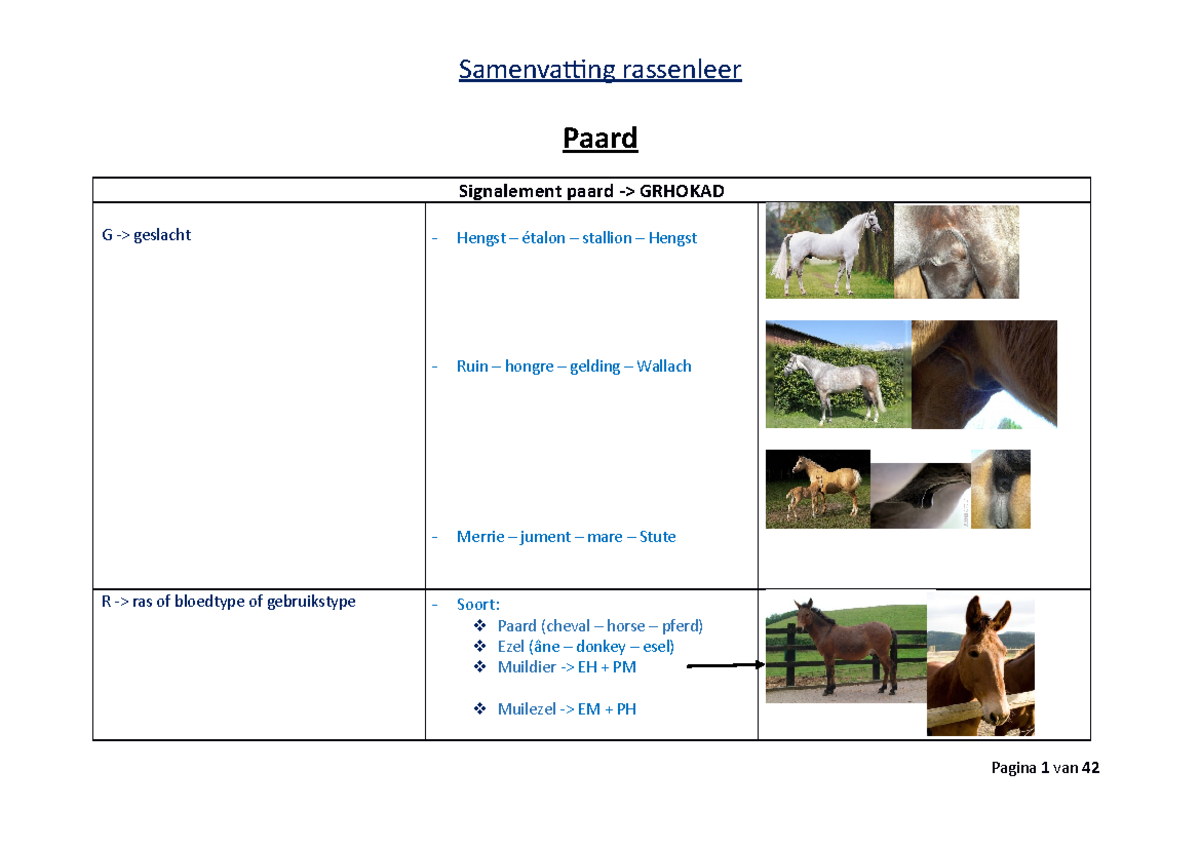 Samenvating rassenleer - 1 - Paard Signalement paard -> GRHOKAD G ...
