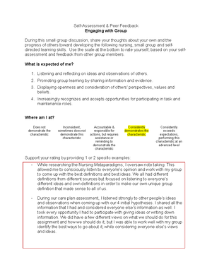 Level I Classroom Engagement Rubric (1) - Level 1 Professional Practice ...