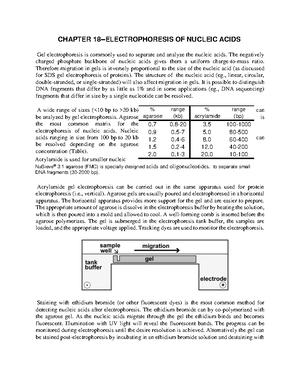 Chapter 16- Nucleic ACID Structure AND Isolation - CHAPTER 16-NUCLEIC ...