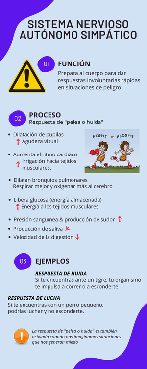 Aponte Abarca Pierina Reneé - Práctica Calificada N°1 - UNIVERSIDAD ...