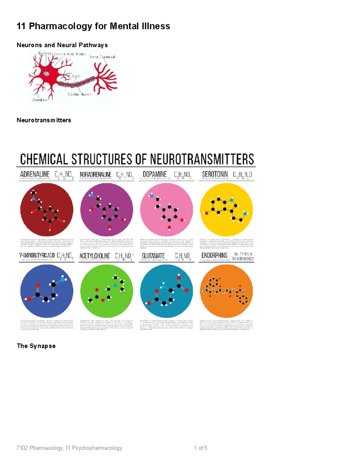 11 Psychopharmacology - 11 Pharmacology for Mental Illness Neurons and ...