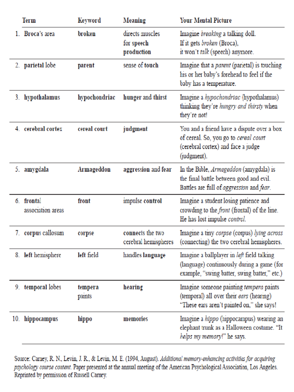 Brain Mnemonic Devices 1 - Psyc 402 - Studocu