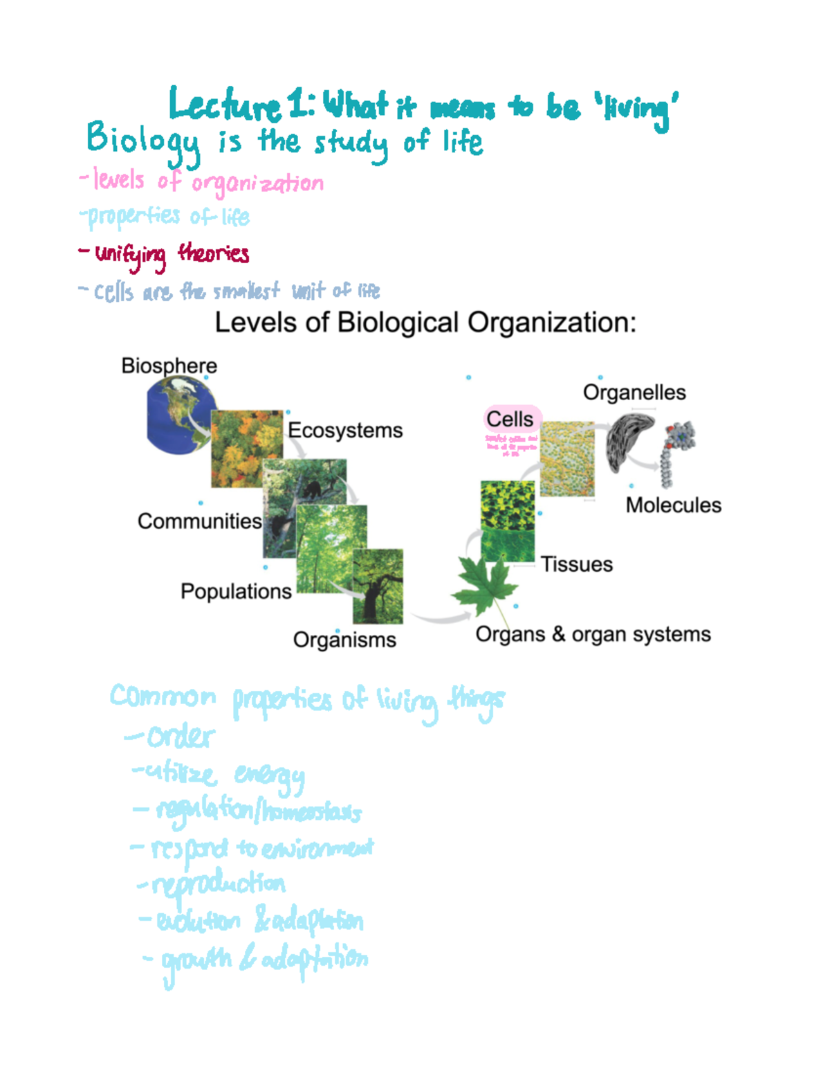 Lecture 1 - Professor Chapman - Lecture 1 What it means to be living ...