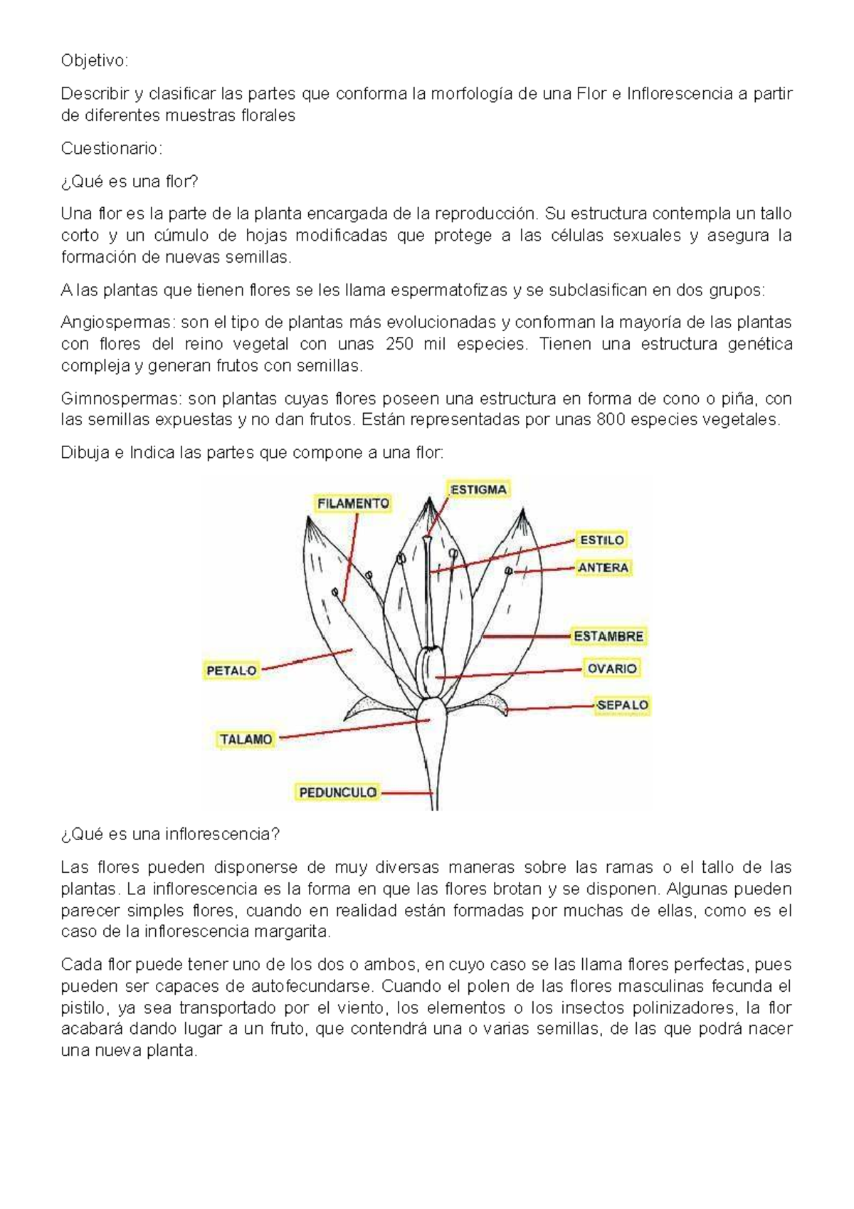 Cuestionario lab 7 - flores - Objetivo: Describir y clasificar las ...