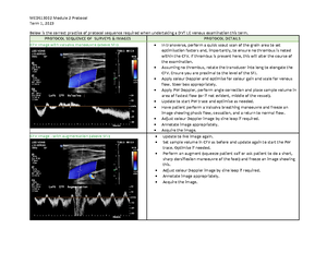 Sonographic terminology - echogram / sonogram Term used for an ...