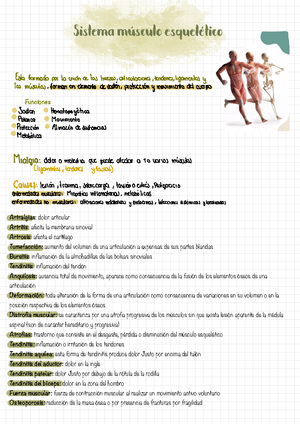 NOM 026 STPS 2004 - Norma 26 - DOF: 25/02/ PROYECTO de Modificación de ...