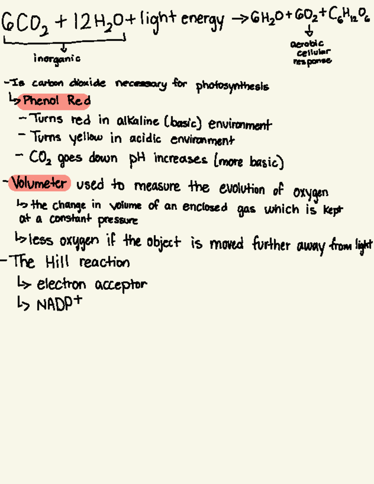 Lab Practical Review - Photosynthesis lab - ⑳ 12Hz0tlight energy ...