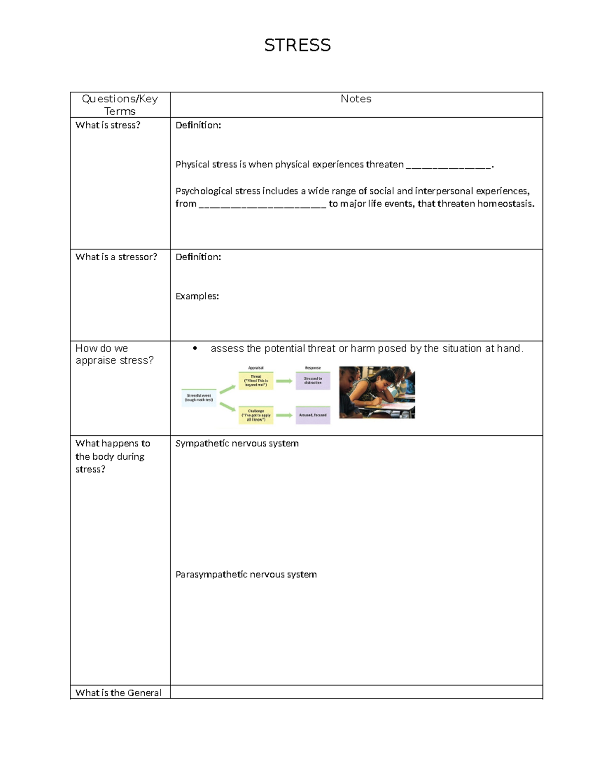 Stress Guided Notes - hgtfred - Questions/Key Terms Notes What is ...