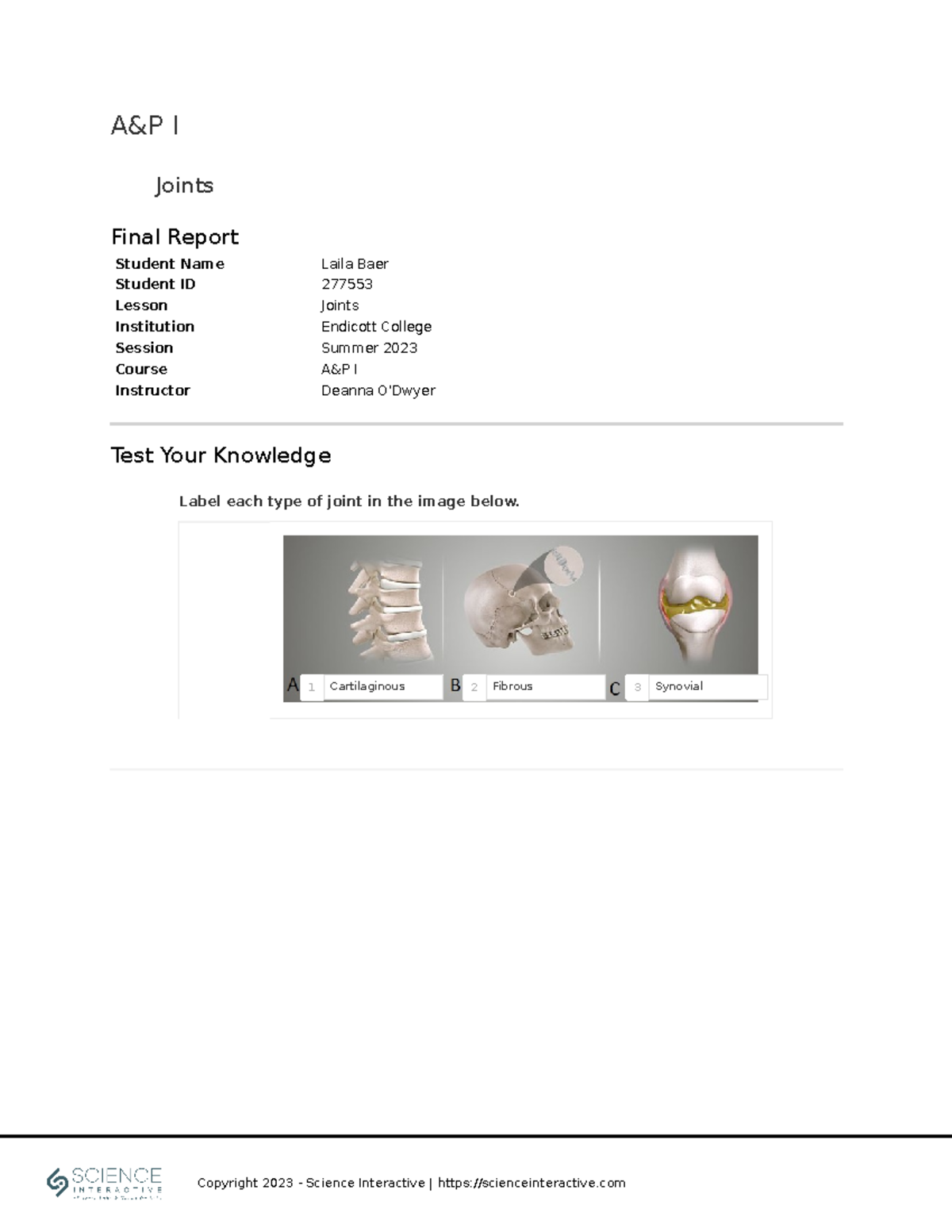 API Joints 277553 - homework - ANAT 25 - PCC - Studocu