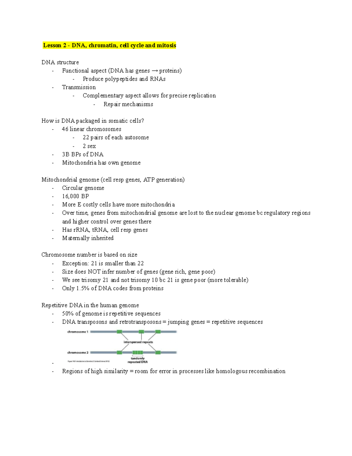 Bio 3592a final notes - Lesson 2 - DNA, chromatin, cell cycle and ...