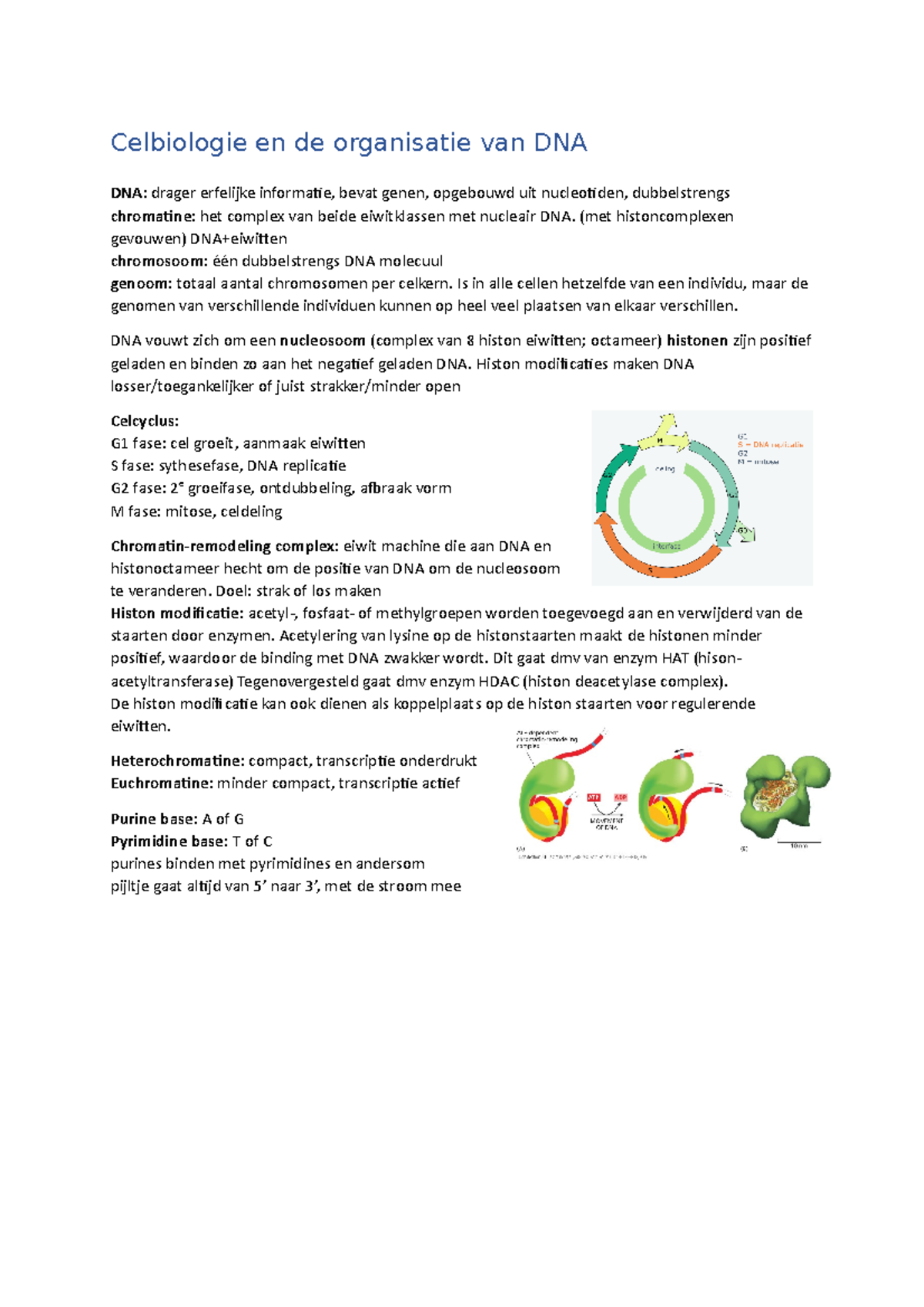 Transcriptie en translatie HC - Celbiologie en de organisatie van DNA ...